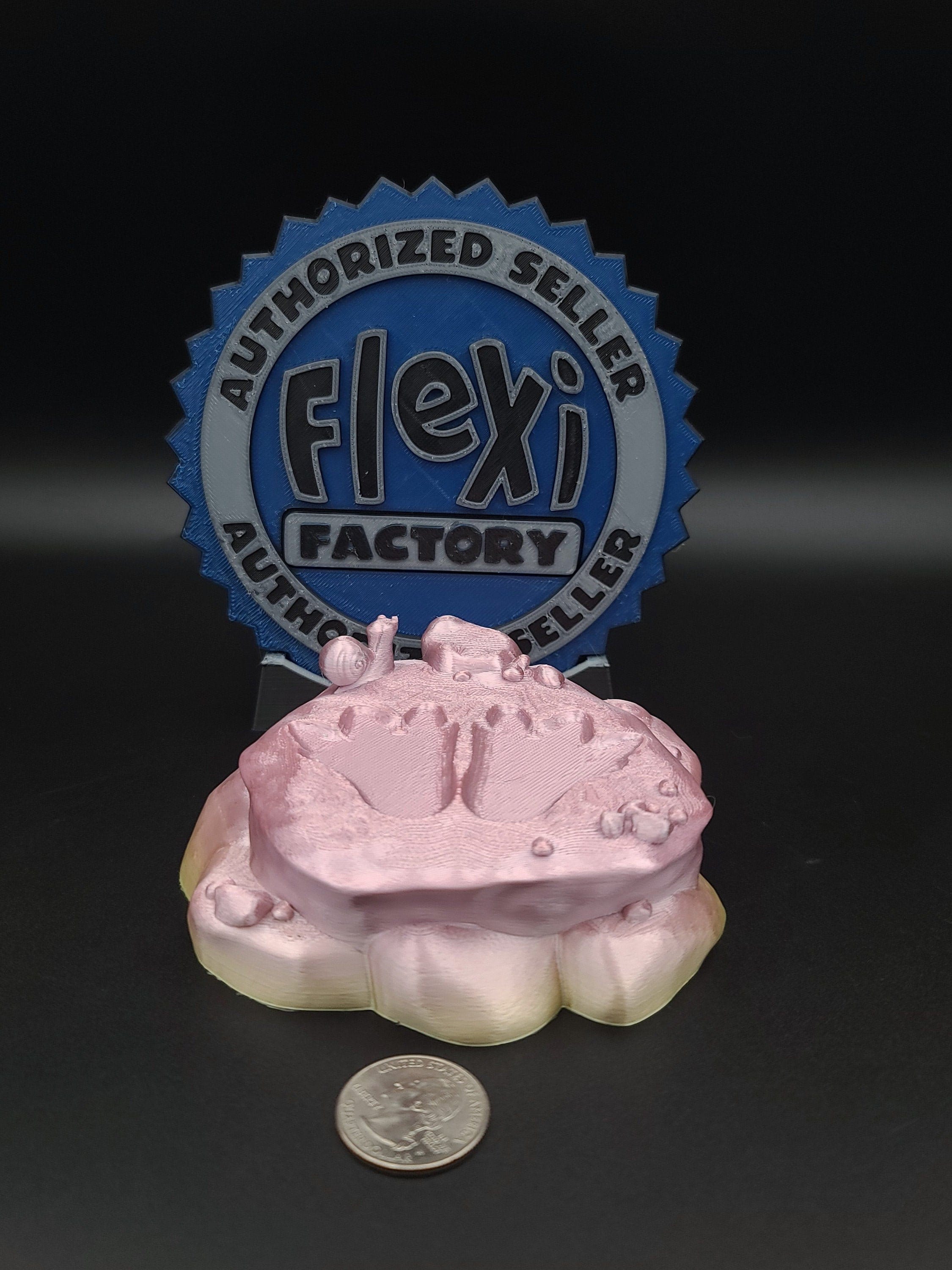 Rainbow T-Rex Stand 3D Printed. Stand for Tyrannosaurus. Super cute to