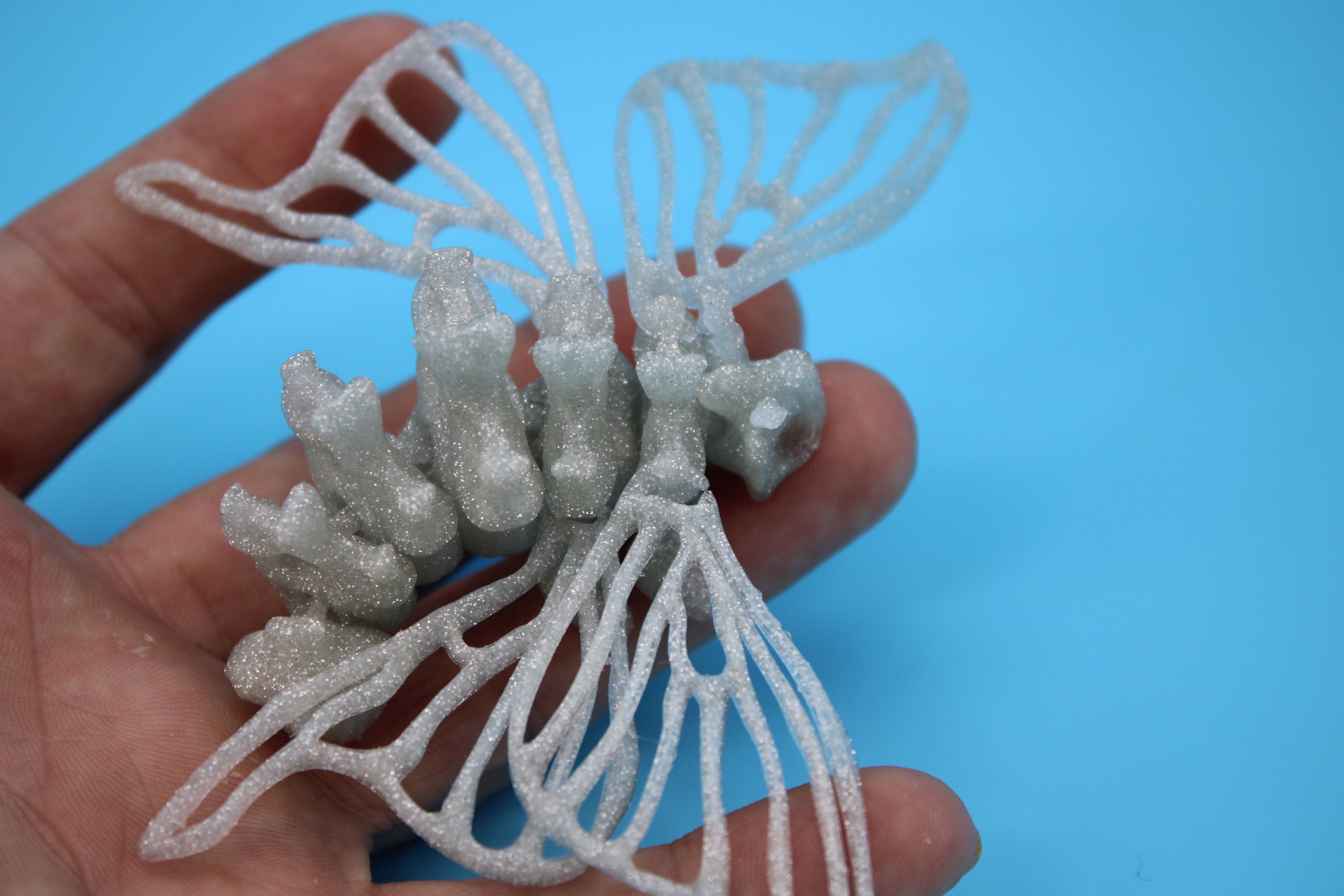 Twinkling Silver Bone Moth